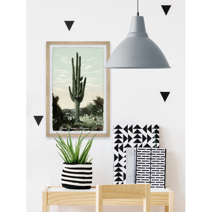 Union Rustic Giant Cactus, Arizona 1902 Framed On Paper Painting | Wayfair